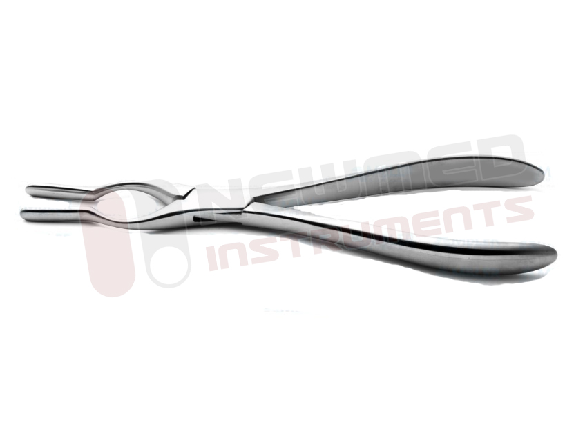 Cottle Walsham Septum Straightening Forceps